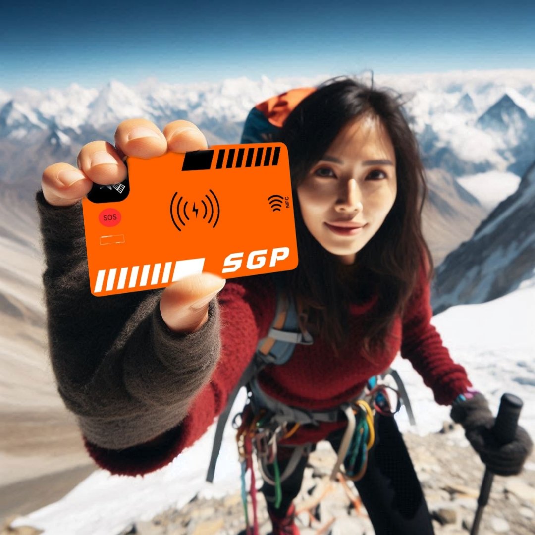 sgpcard - AviationTricks